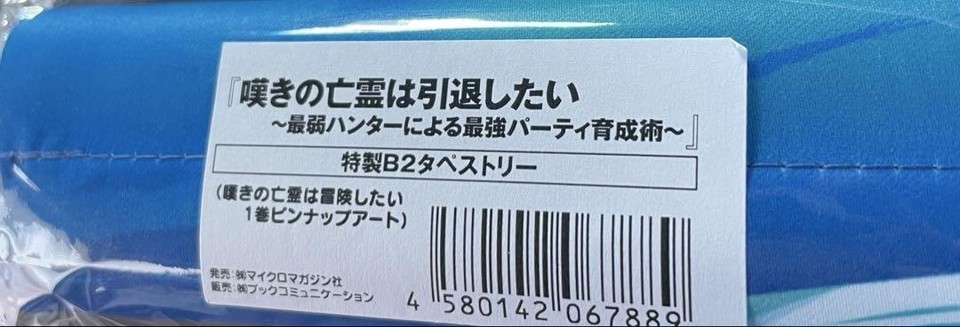 C106 Comiket The Ghost Of Lament I Want To Retire Tapestry | eBay