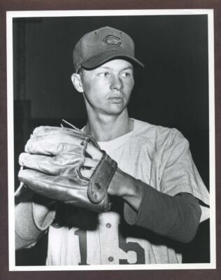 DON ELSTON 1948-53 Cubs Minor League 8x10 Photo | eBay