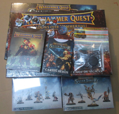 D22C40 WARHAMMER QUEST SILVER TOWER HAMMERHAL + FIGURINE + CARTES ...
