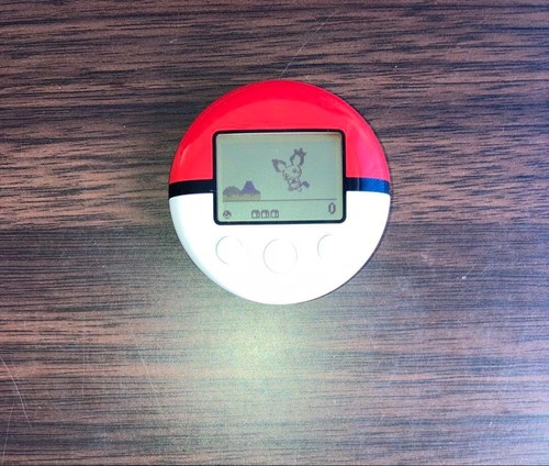 Nintendo DS Pokewalker for Pokemon Heart Gold Soul Silver Game | eBay