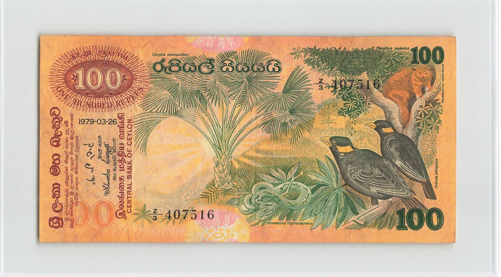 SRI LANKA 100 Rupees 1979, CEYLON, P-88, Famously Pretty Note, Z/3 ...