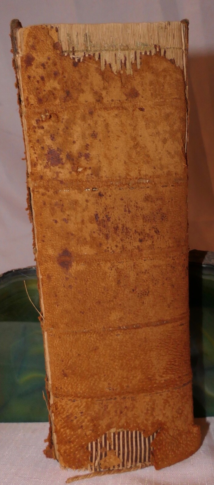 ANTIQUARIAN BOOK COPIOUS AND CRITICAL LATIN ENGLISH LEXICON E.A ...