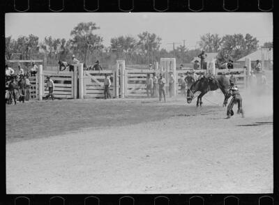 Bronco rider rodeo Miles City Montana 1930s Historic Old Photo 7 | eBay ...