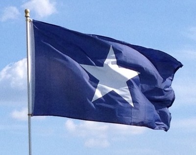 3x5 ft BONNIE BLUE CSA Confederate Civil War Flag Outdoor Print Nylon ...