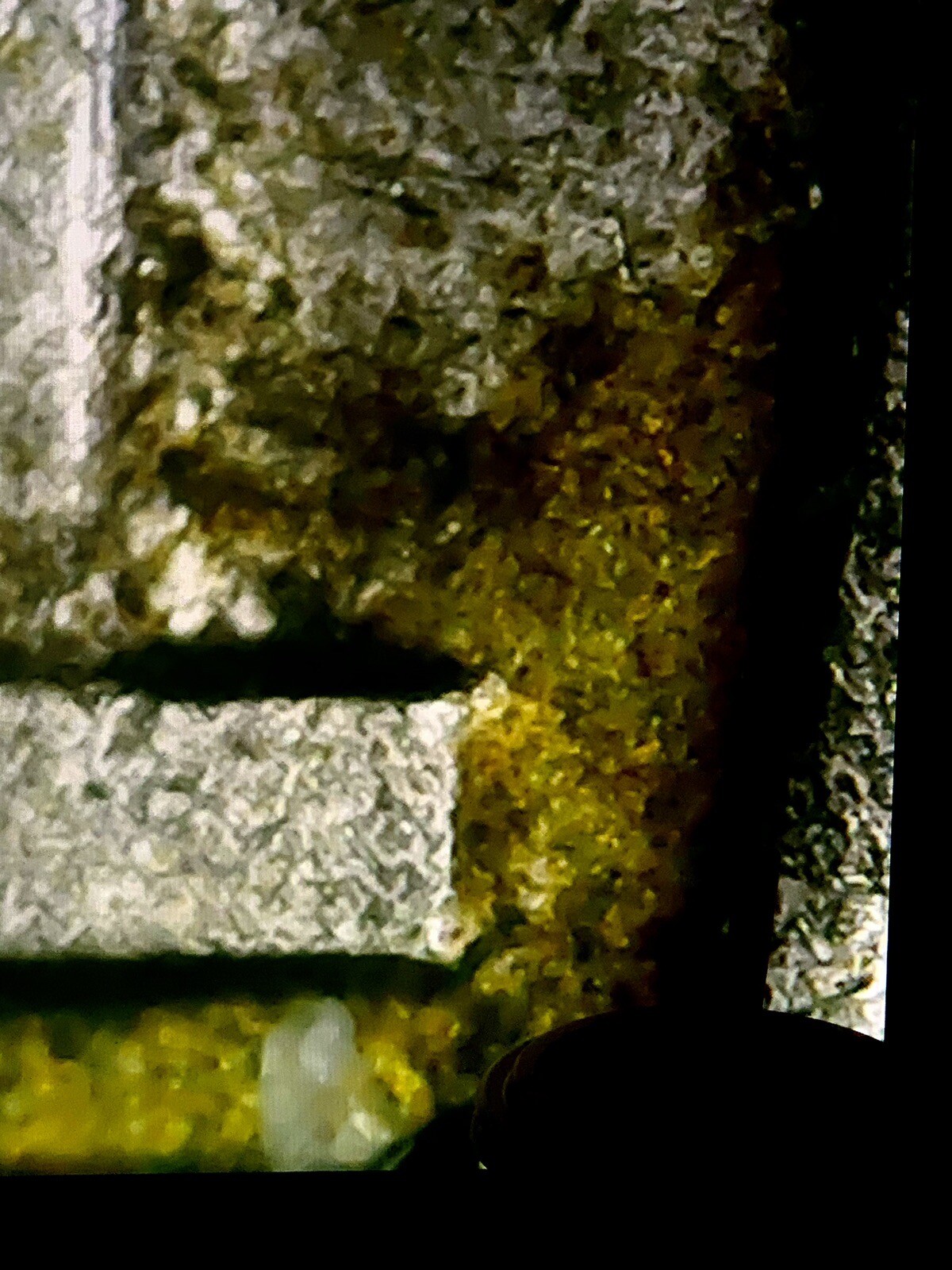 1942 P Jefferson War nickel toned defective Planchet | eBay