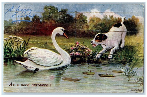 Postcard At A Safe Distance Jack Russell Terrier Swan 1909 Oilette Tuck ...