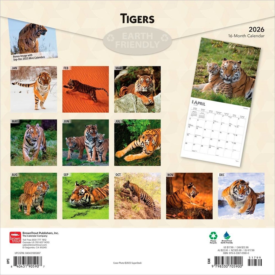 Tigers | 2026 12x24" (Hanging) Monthly Square Wall Calendar | Plastic ...