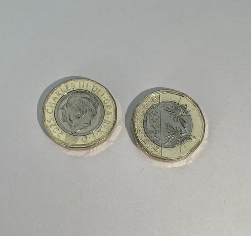 £1 Pound BEES Coin King Charles 2025 UNCIRCULATED from sealed bag LOW ...