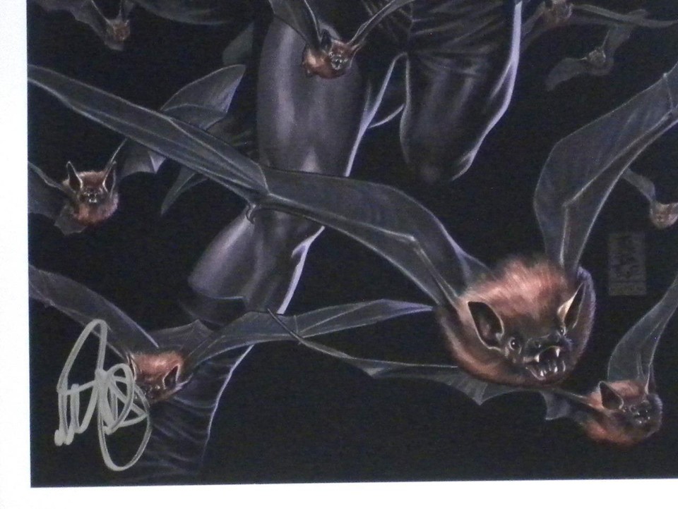 SDCC 2018 SIGNED Lithograph BATMAN by MARK BROOKS | eBay