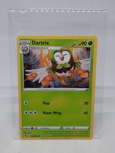 Pokémon TCG Dartrix 020/189 Pokemon Astral Radiance Uncommon NM/M | eBay