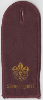 Senior Scouts PURPLE Bdr. [INT142] | eBay