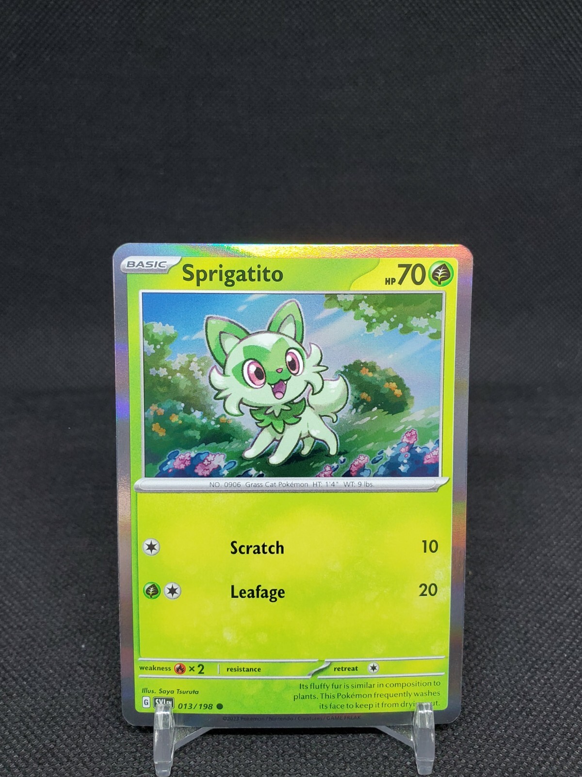 Sprigatito SV1 013/198 Holo Paldea Collection Box NM Pokemon Card | eBay