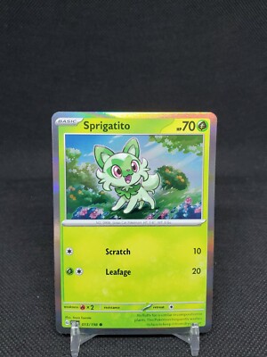 Sprigatito SV1 013/198 Holo Paldea Collection Box NM Pokemon Card | eBay