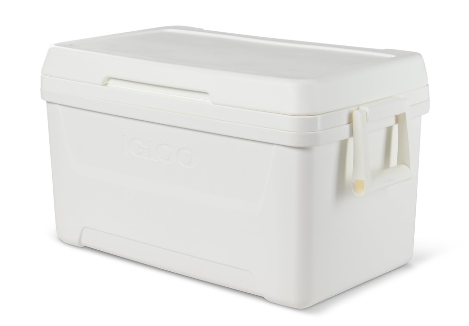 Hard Sided Ice Chest Insulated Cooler Food Drinks Box Stain Odor ...