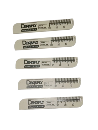 Dentsply Endo File Length Measuring Scale Single For Endo Purpose- Free ...