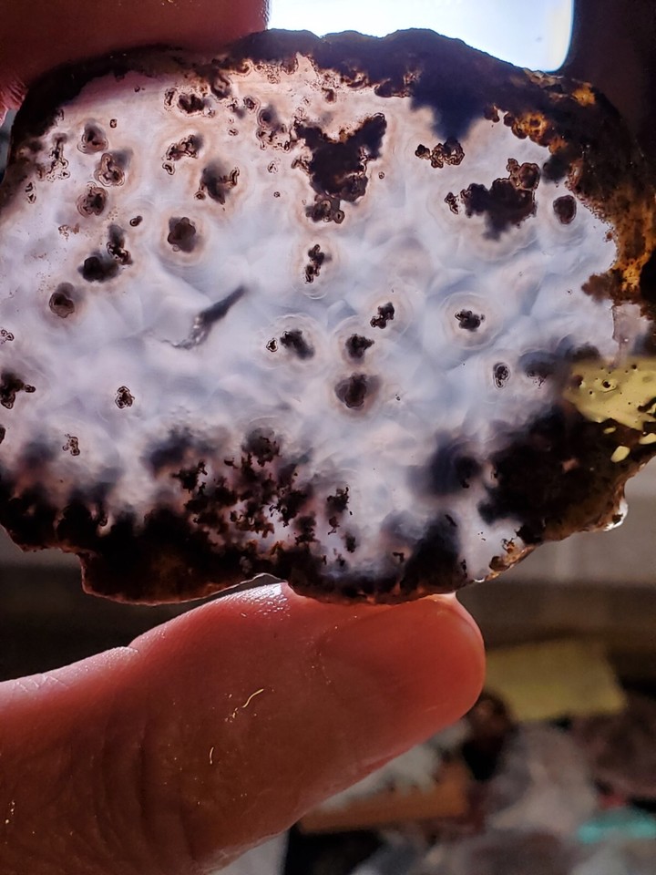 2 Woodward Ranch Pom-Pom Tube Plume Agate Rough Alpine Texas 92g | eBay