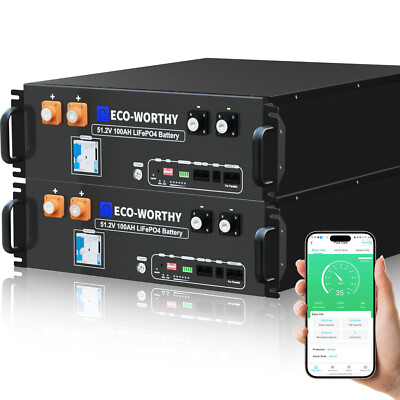 ECO-WORTHY V3 Version 2Pack 48V 100Ah LiFePO4 Lithium Battery 3U Server ...