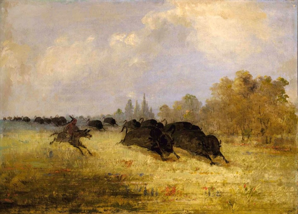 Oil painting George-Catlin-Caddo-Indians-Chasing-Buffalo-Cross-Timbers ...