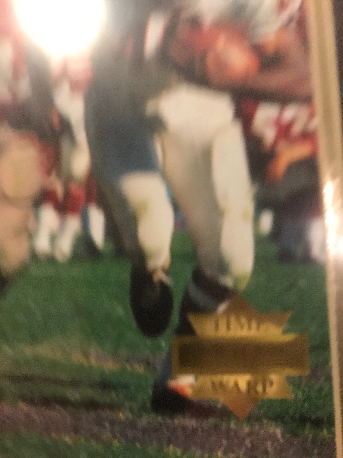 1995 Collector's Edge Time Warp Gale Sayers Ronnie Lott 8 x 10 #/d ...