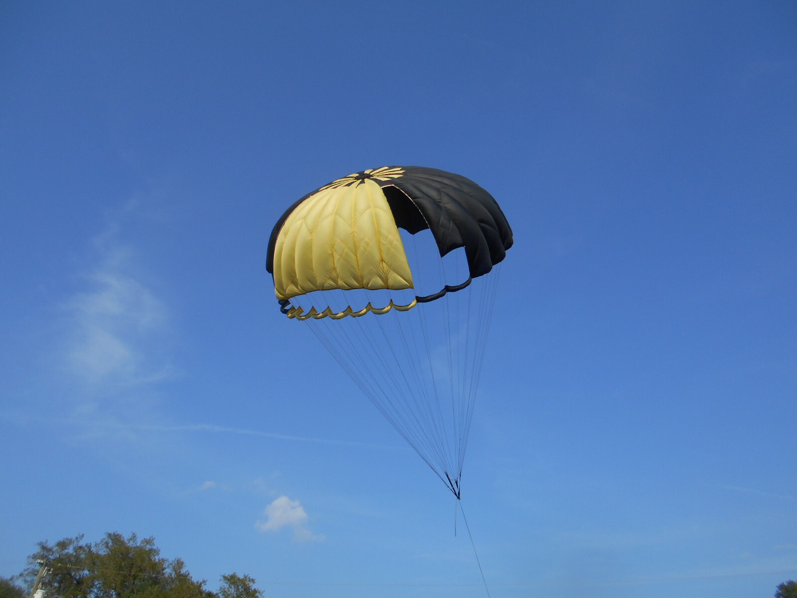 1963 military (APT) Army Golden Knight parachute w sleeve | eBay