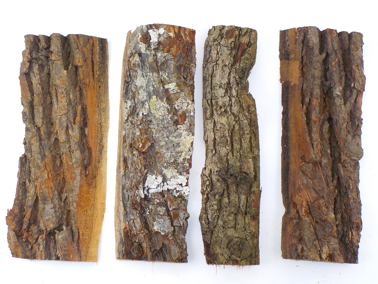 4 Tree bark pieces for floristry, model making diorama. texture rock ...