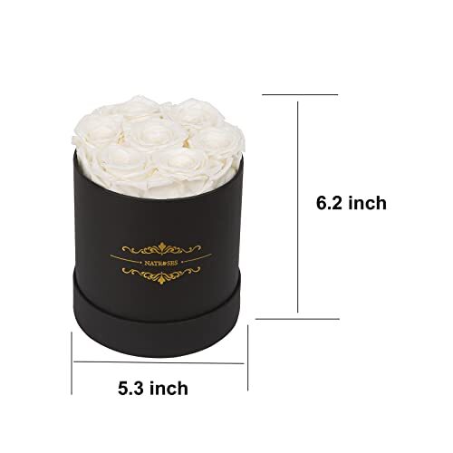 NATROSES Preserved Real Roses in a Box Roses That Last Up to 3 Medium ...