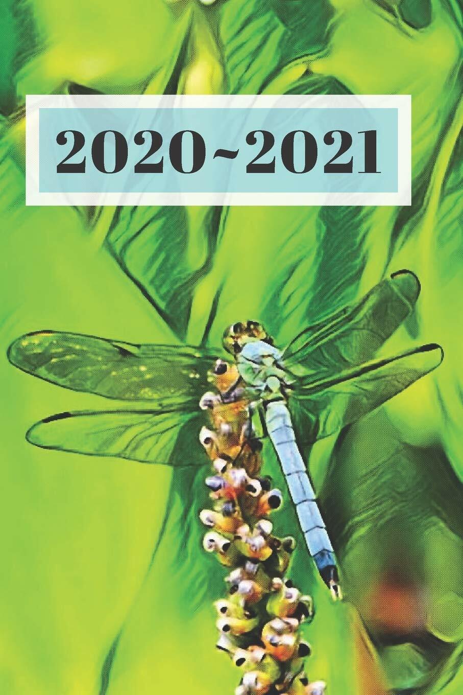2021-2022 Two Year Dated Calendar Planner 6 x 9 Dragonfly Paperback ...