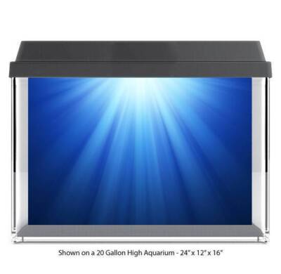 Sun Rays Under Water Polyester Fish Tank Glass Backdrop Aquarium ...