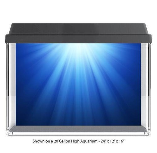 Sun Rays Under Water Polyester Fish Tank Glass Backdrop Aquarium ...