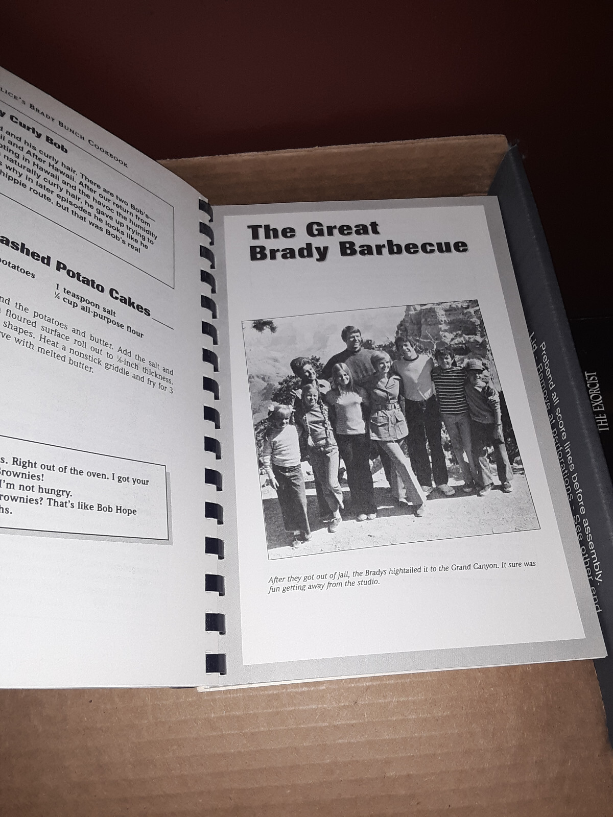 Alice's Brady Bunch Cookbook by Ann B. Davis (1994, Spiral) for sale ...