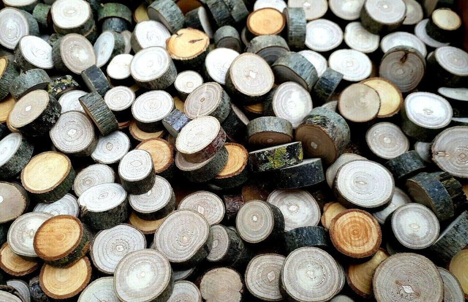 Decorative fireplace display logs Wood Slices Rustic decor Wall craft ...