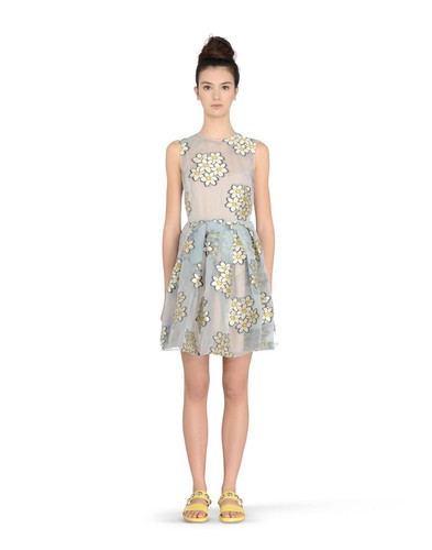Sky Blue Sheer Daisy Fil Coupe Organza Sleeveless Red Valentino Dress ...