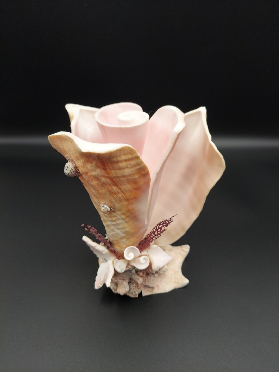 Coral And Seashell Centerpieces