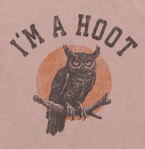 I'm A Hoot Owl Refrigerator Flat Magnet Decorative Office | eBay