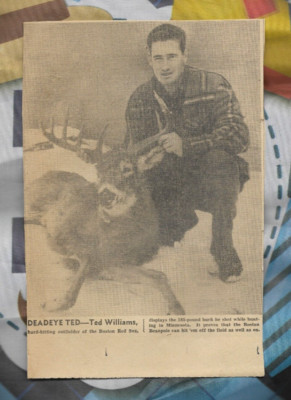 Dead-Eye Ted Williams Shoots Buck in Minnesota Boston Red Sox 1949 news ...