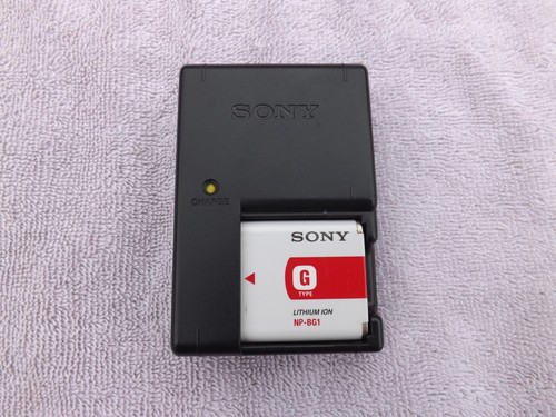 SONY Cybershot BC-CSG BC-CSGB BC-CSGD BC-CSGE Battery & Charger NP-FG1 ...
