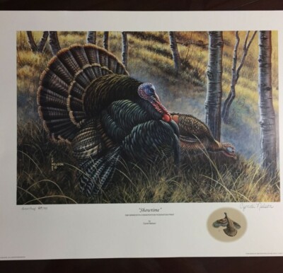 Cyndi Nelson, “ Showtime” A/P 97/795, 1995, Minnesota Conservation Fed ...