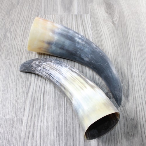 2 Raw Unfinished Cow Horns #804-2 Natural Colored | eBay