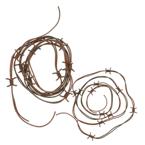 2pcs Plastic Barbed Wire Barbed Wire Prop Barbwire Barb Wire Western ...