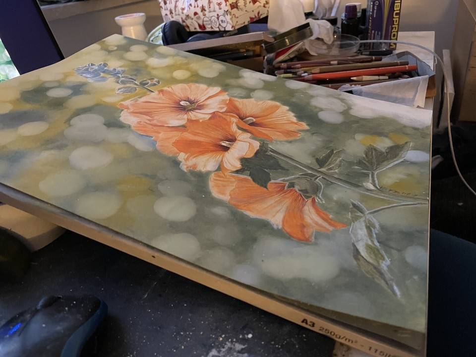 COA Original Art Drawing Colored Pencils Hollyhocks flowers 12"x16" A3 ...