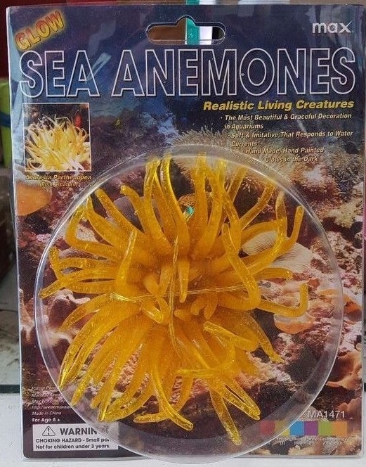 Yellow Sea Anemone An Analysis Of Old Genes' Influence On Sea Anemones