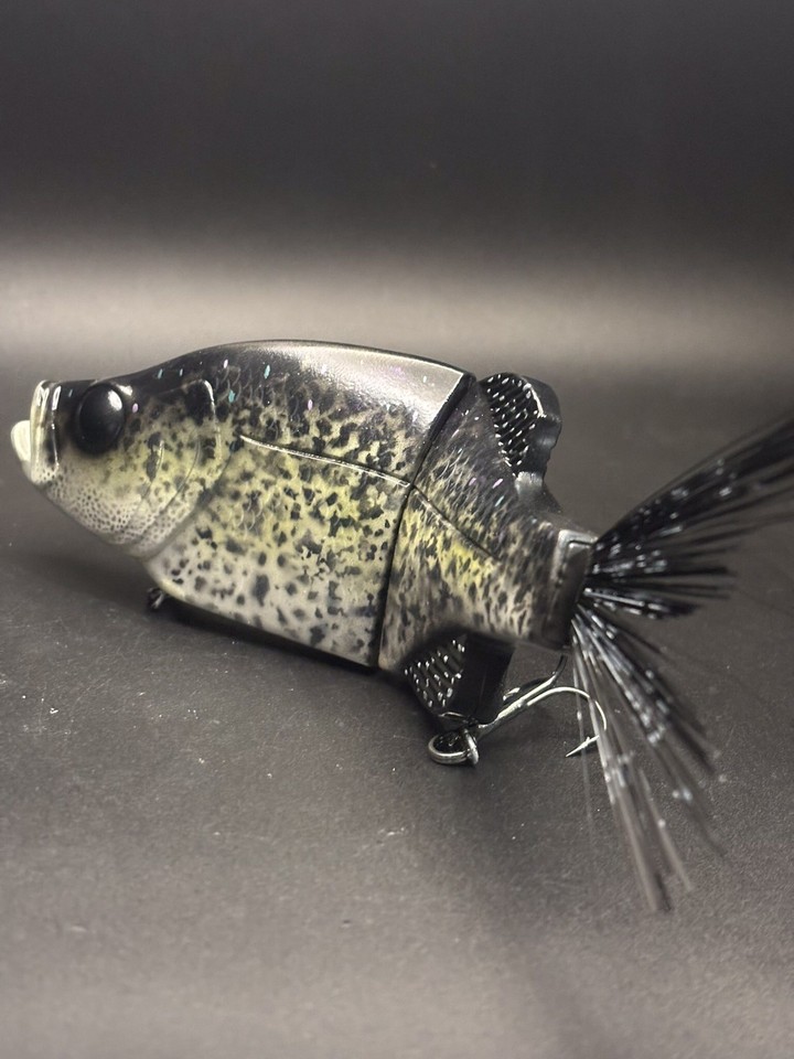 Custom Painted Glide Bait 7 3/4 Inch Papermouth | eBay