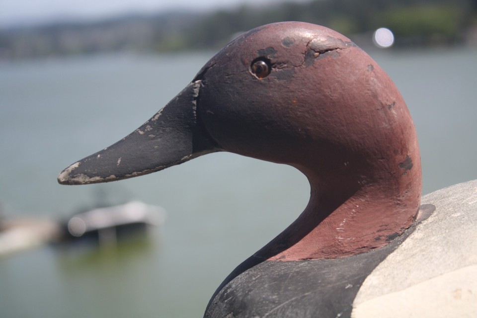 Canvasback Drake decoy by Wildfowler, balsa, glass eyes, hunter repaint ...