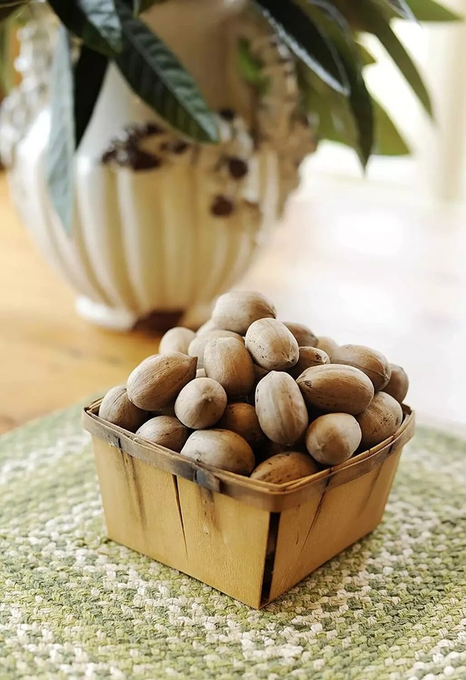 In-Shell Georgia Pecans 5 Lb | eBay