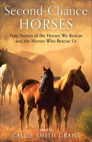 Second-Chance Horses: True Stories of the Horses We Rescue and the ...