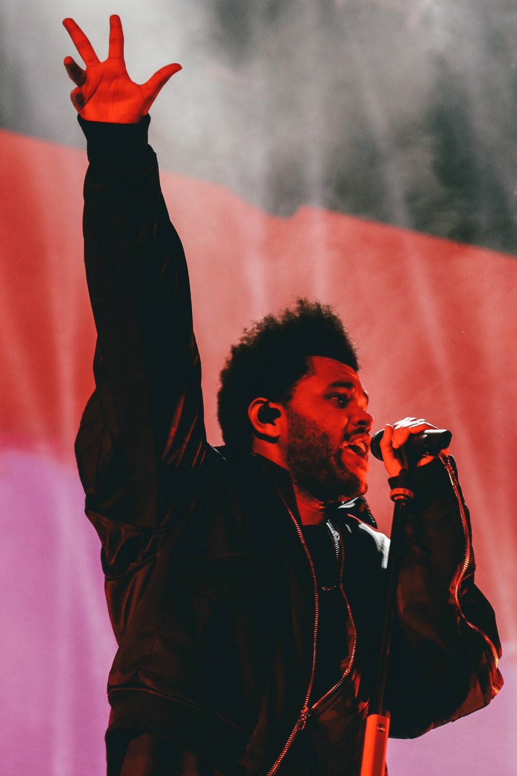 The Weeknd Concert Poster (24x36) inches | eBay