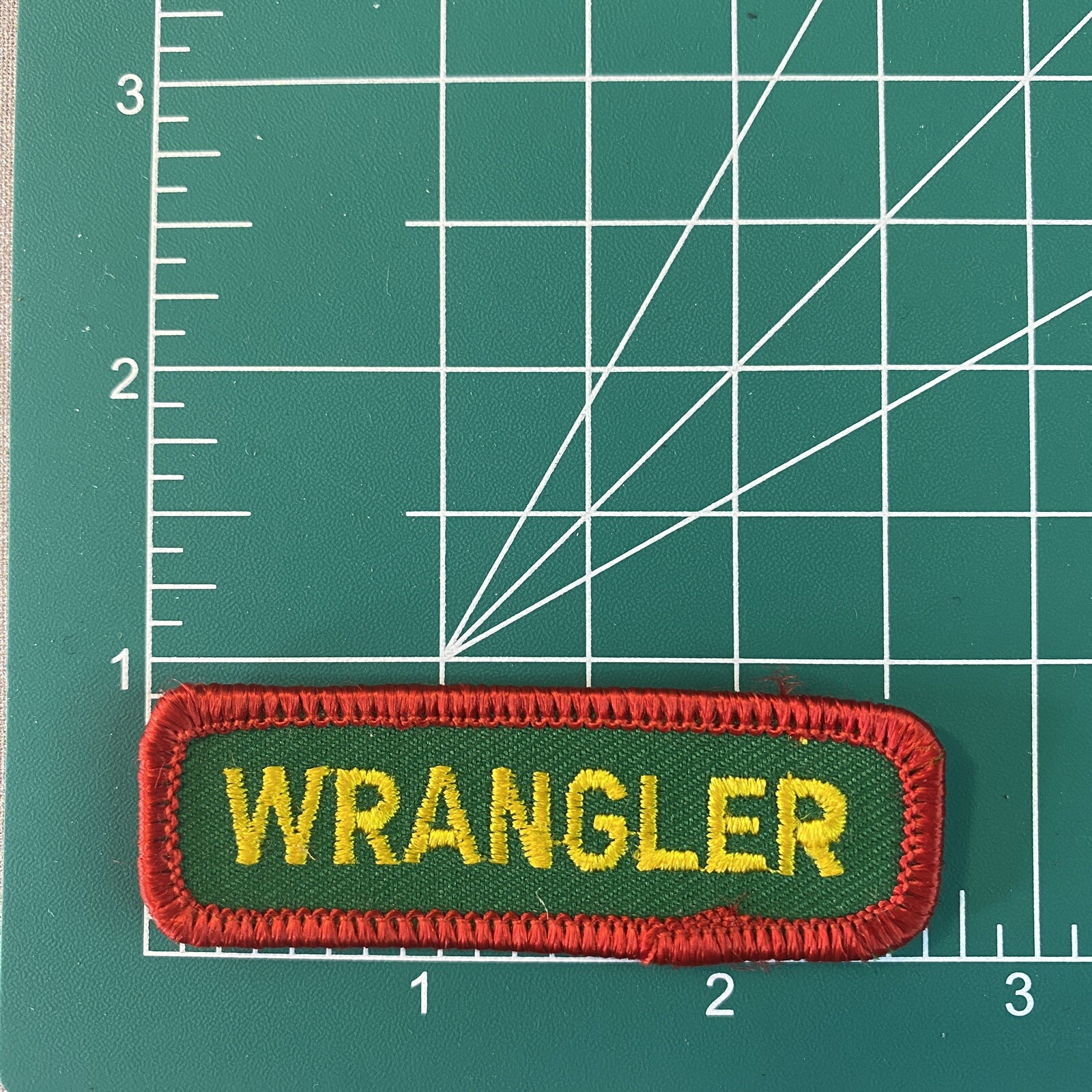 NOS WRANGLER Boy Scouts of America Segment Strip PATCH BSA Camp Badge ...