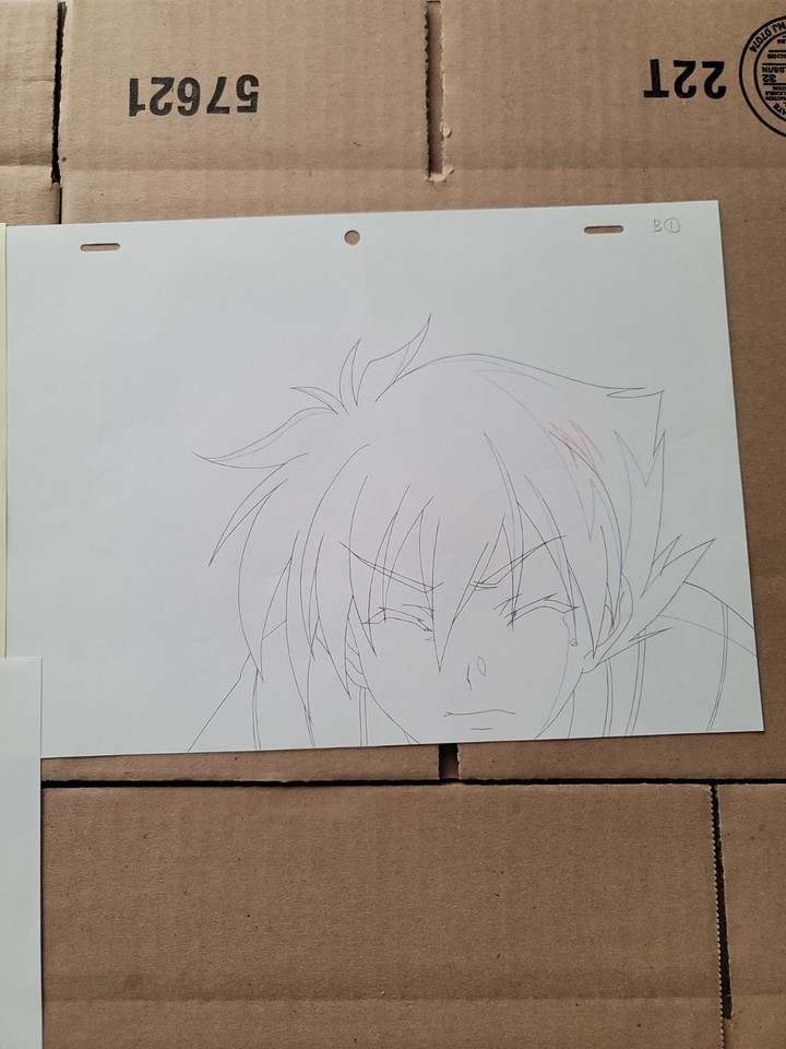 Anime High school Dxd Issei Hyoudou Douga Genga 5 Sheets ( not ...