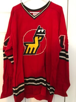 Guy Trottier Barry Legge 1974-75 Michigan Stags WHA Game Worn Used ...