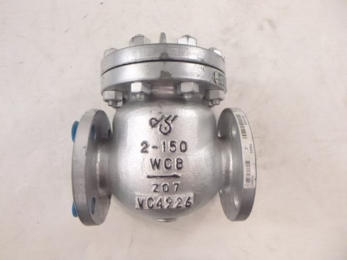DSI Forum Energy 2" RF T8 Swing Check Valve 137XU Carbon Steel Body ...